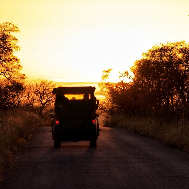 Establishment and history of the Kruger National Park